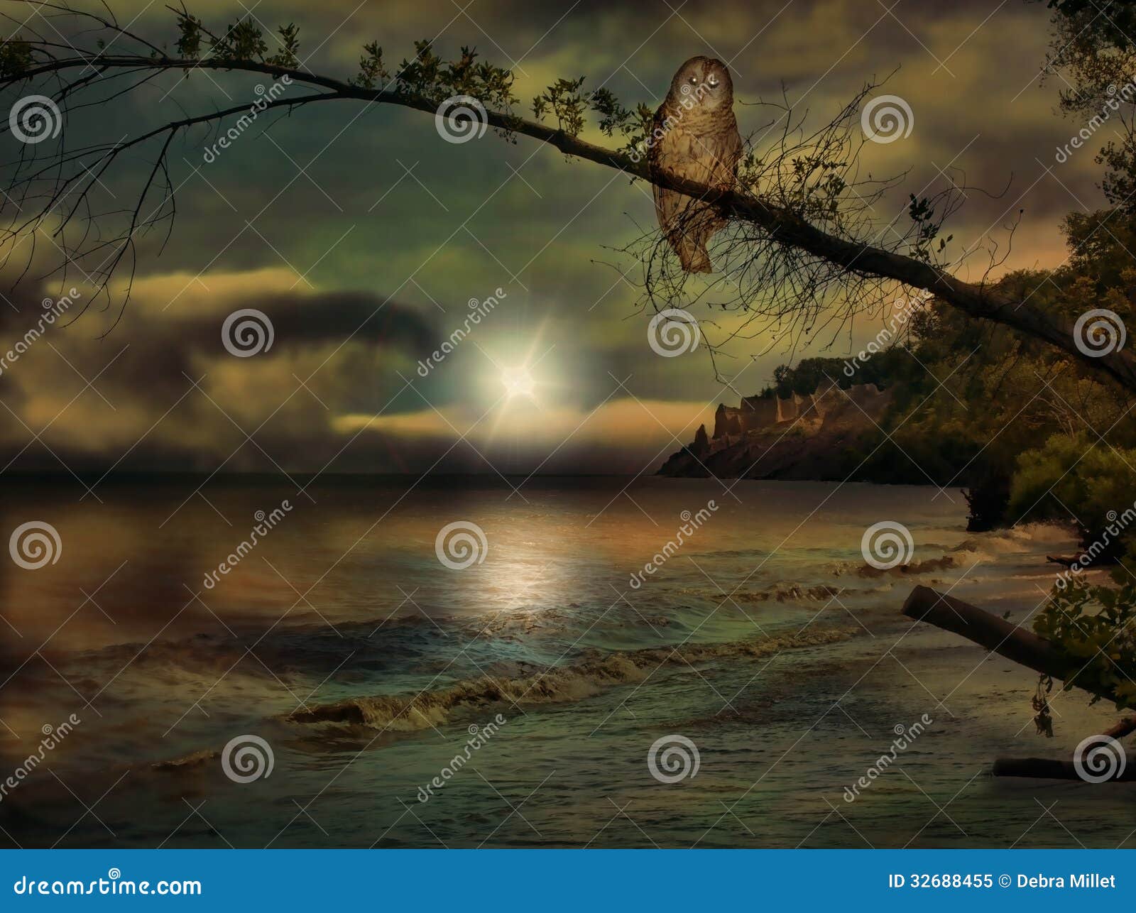Owl on beach scene stock illustration. Illustration of waves - 32688455
