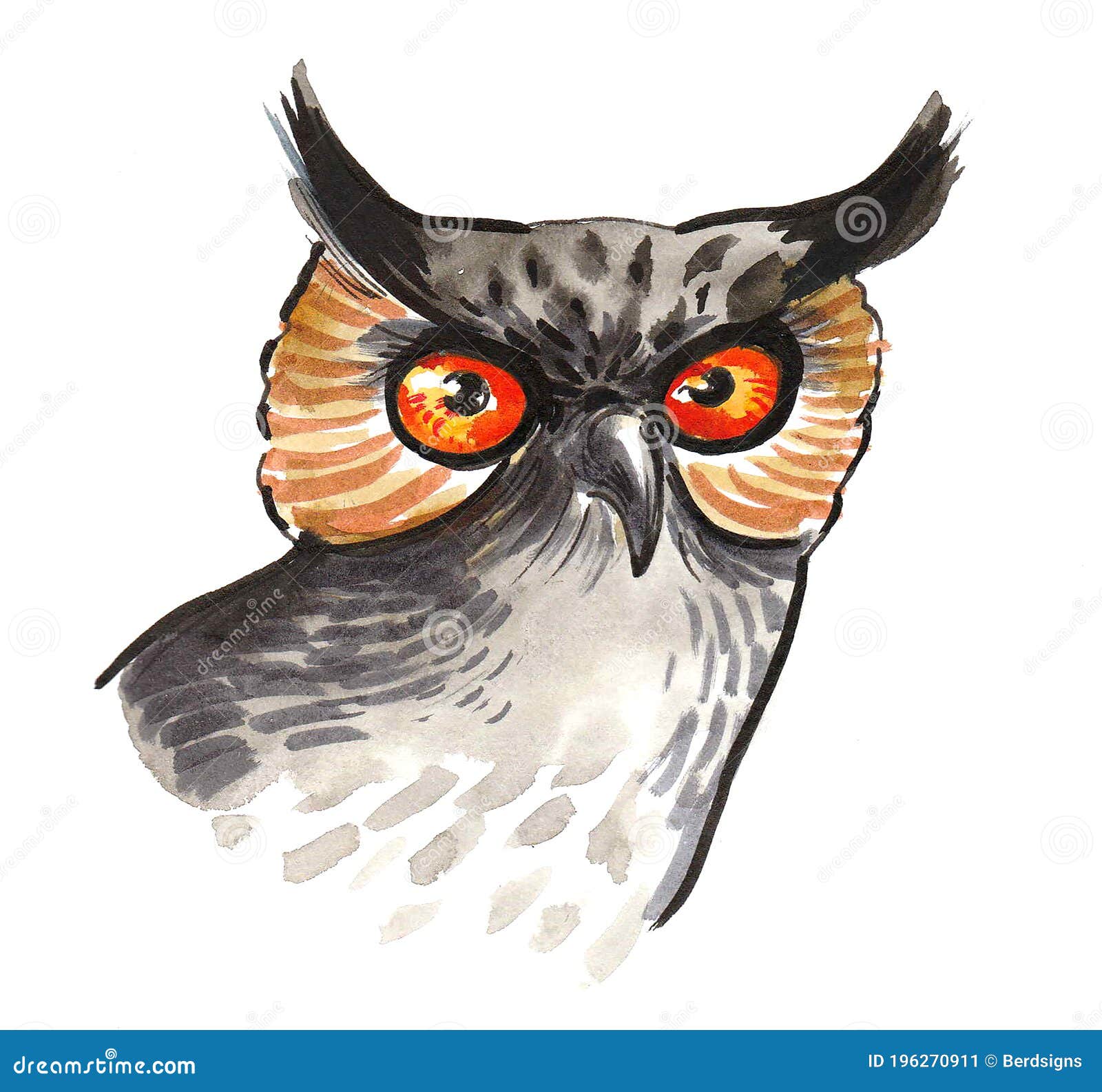 Owl bird head stock illustration. Illustration of watercolor - 196270911