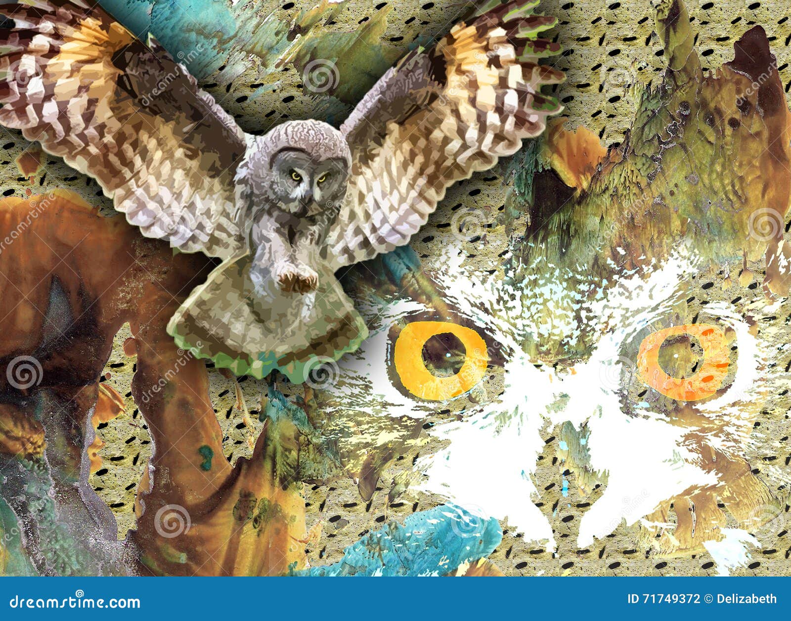 Owl stock illustration. Illustration of bold, detailed - 71749372