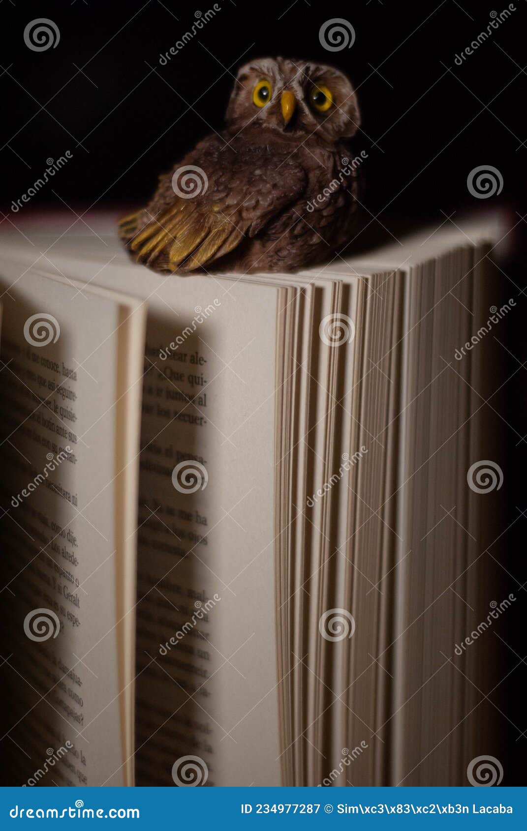 Owl on a book stock image. Image of background, collection - 234977287