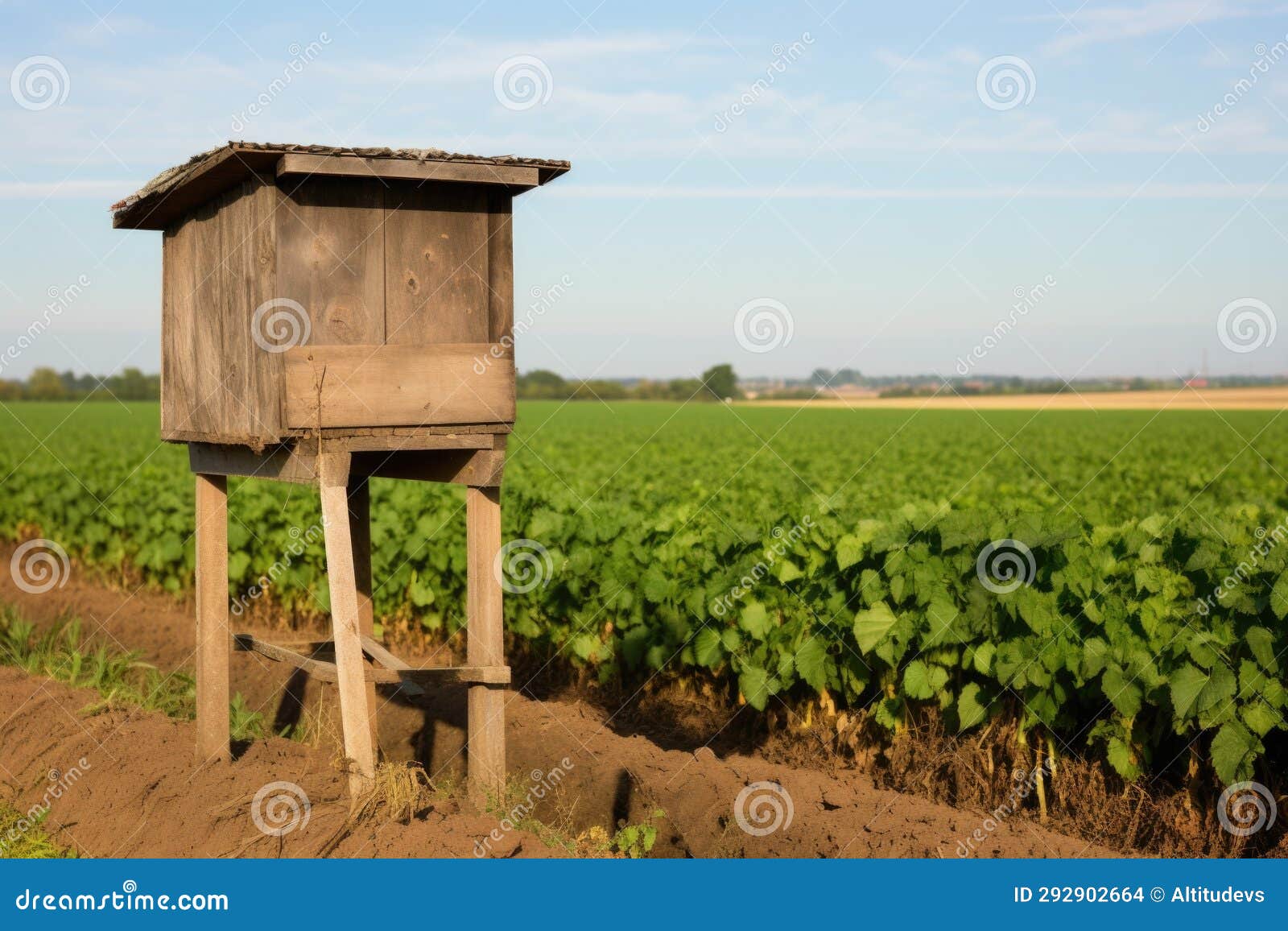 An Owl Box in an Agricultural Field Stock Photo - Image of agricultural ...