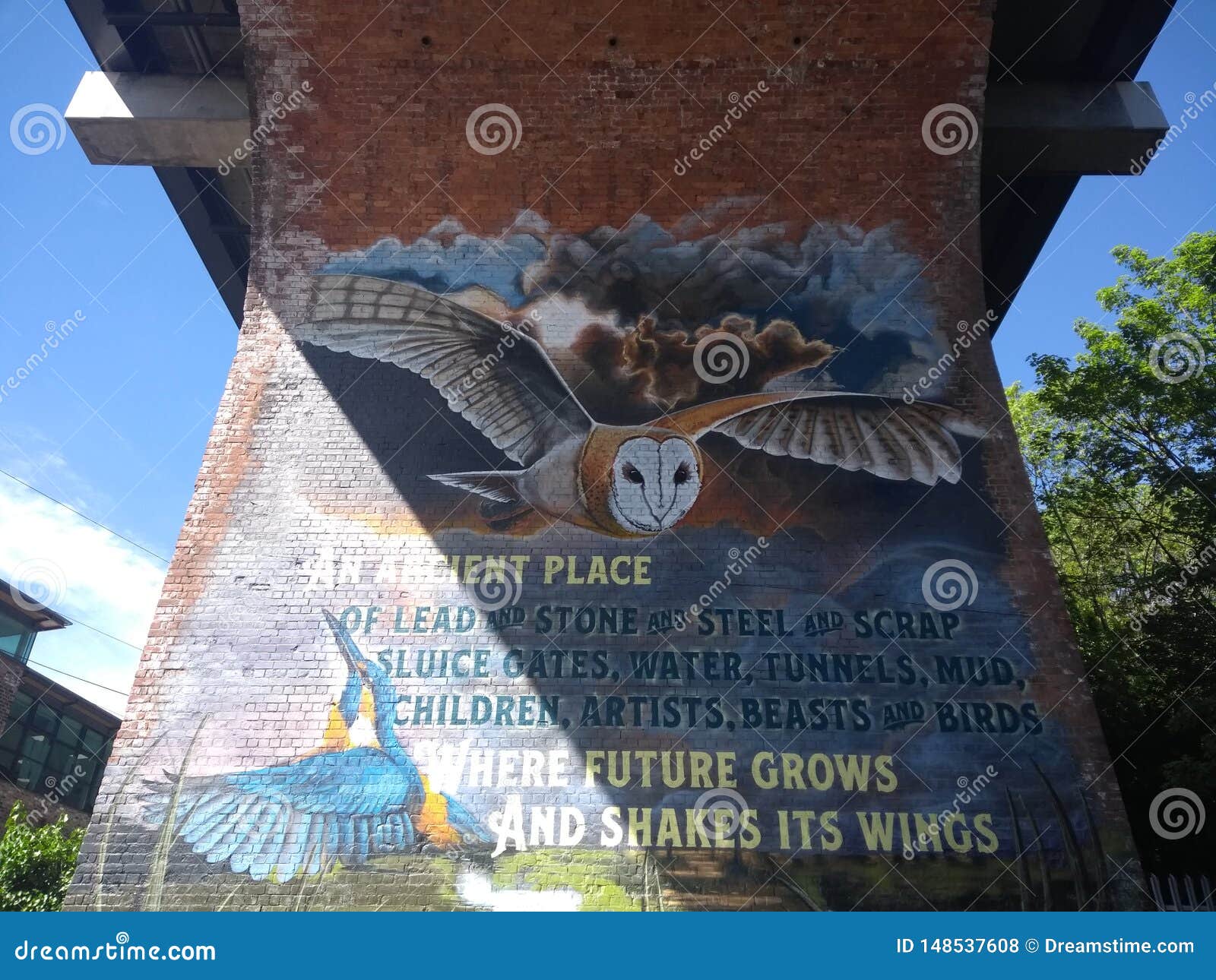 Owl Byker Bridge Graffiti Bird Editorial Stock Photo - Image of bridge ...