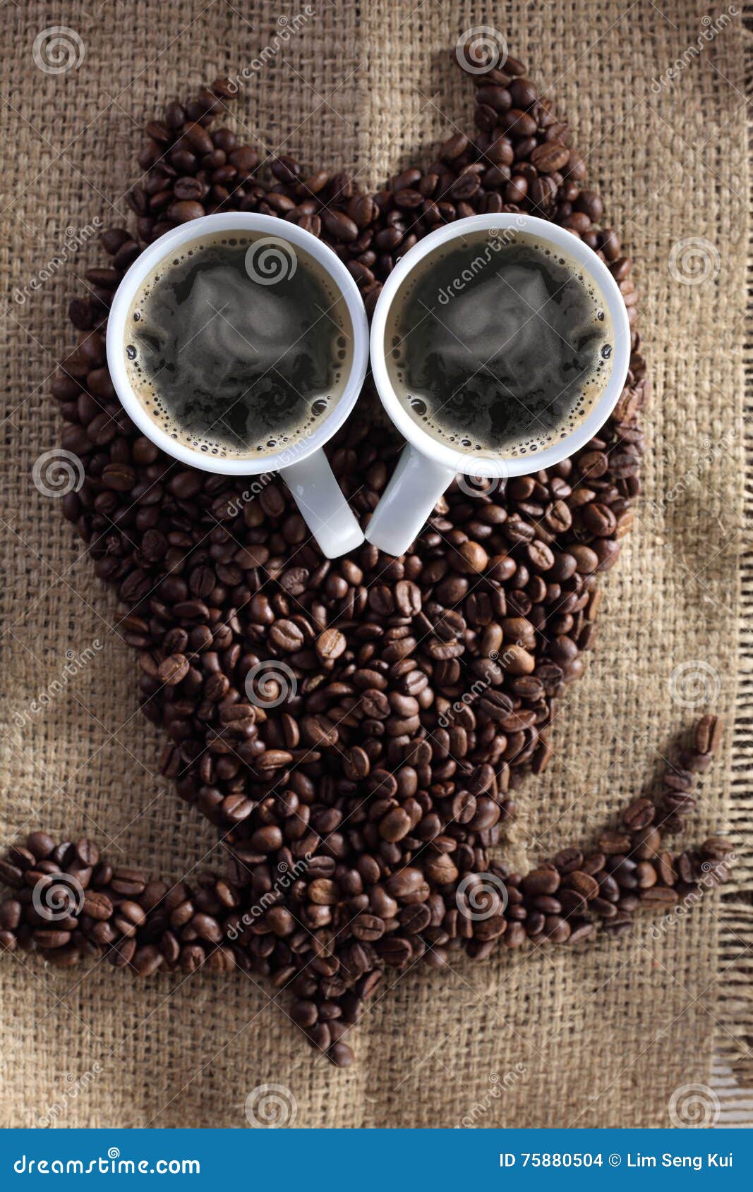 Owl coffee stock photo. Image of aroma, cafe, power, drink - 75880504