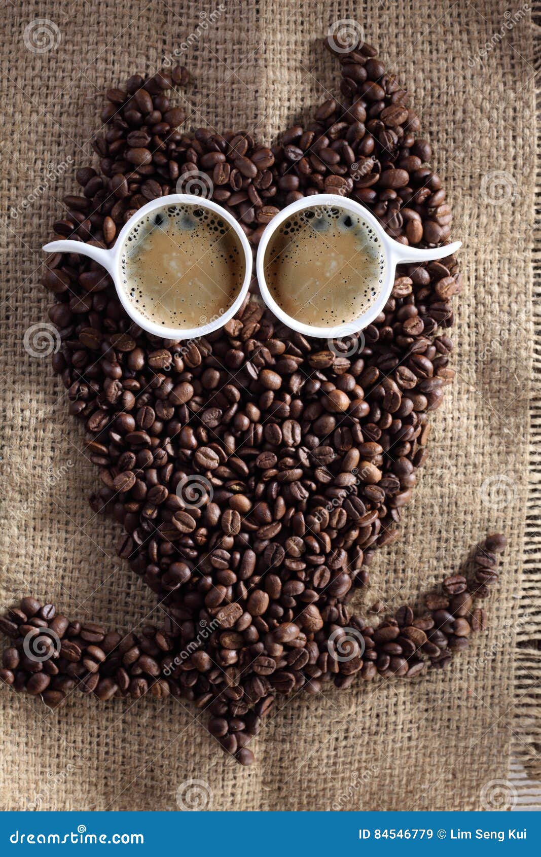 Owl coffee stock image. Image of java, power, fuel, burlap - 84546779