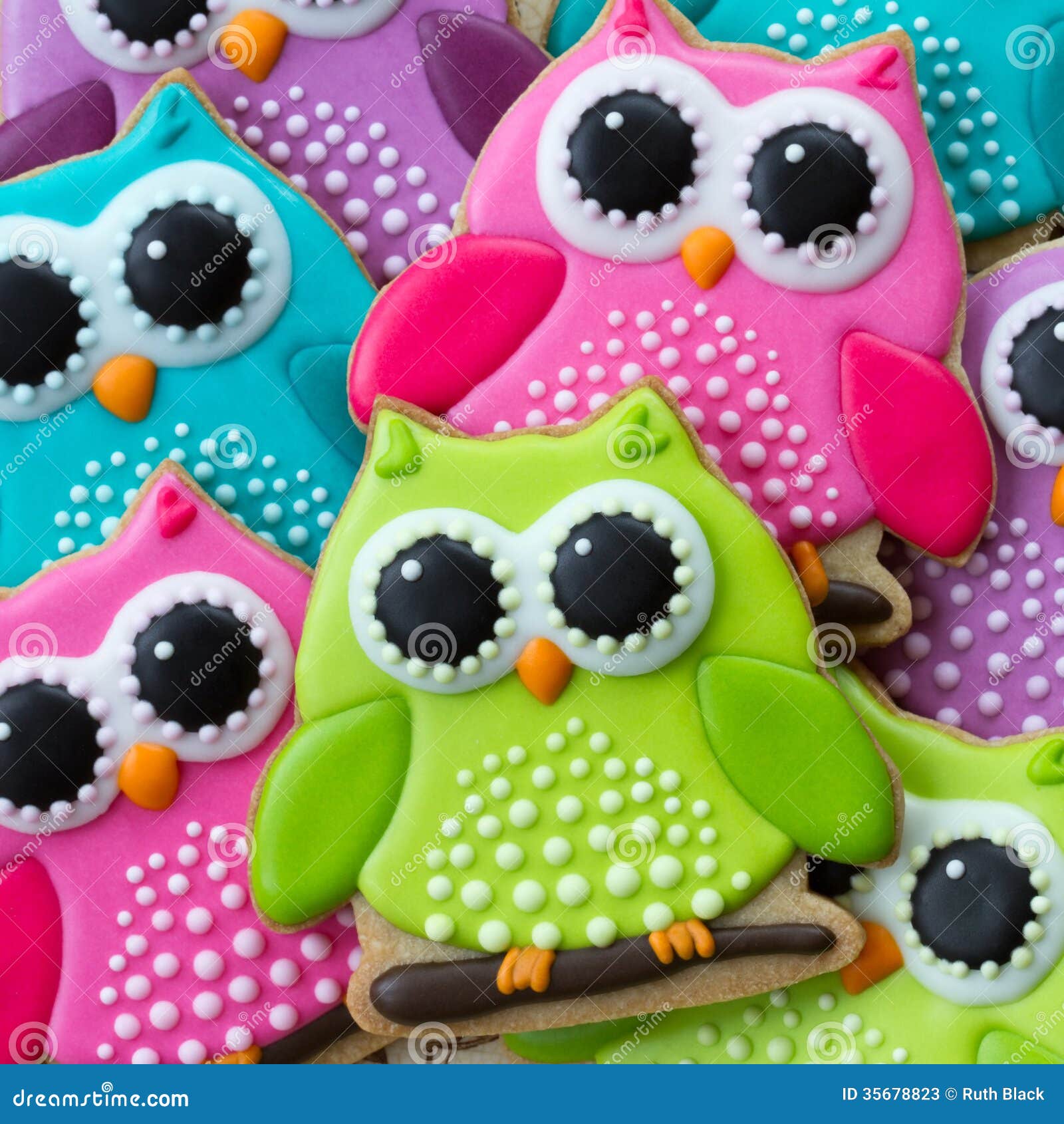 Owl cookies stock image. Image of icing, lots, vibrant - 35678823