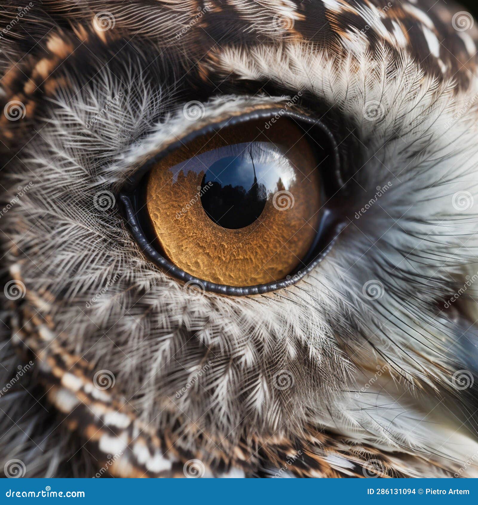 Owl Eye Close Up, Generative AI Stock Photo - Image of brown, wild ...