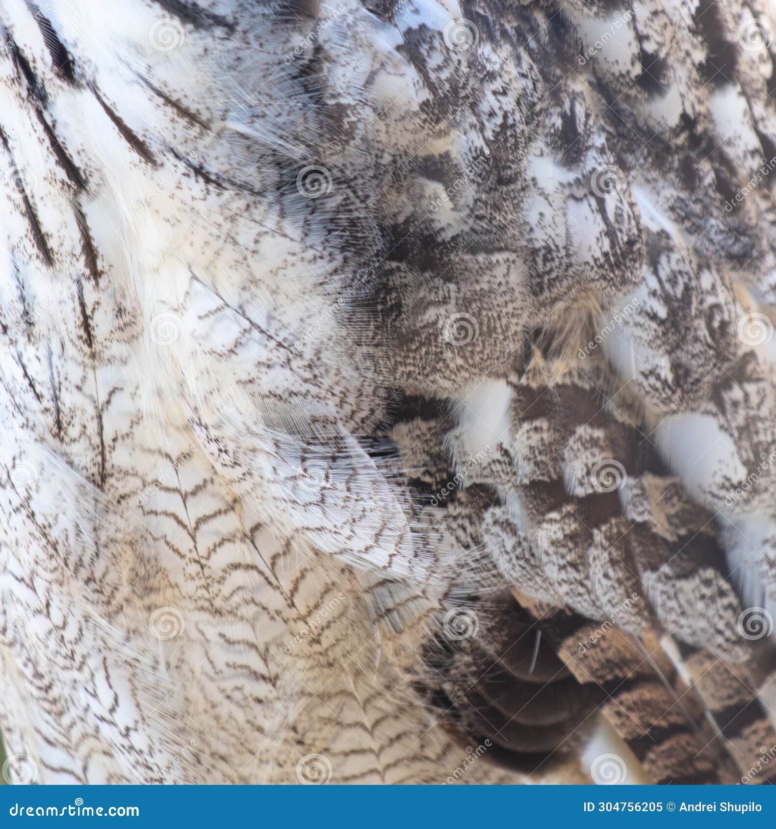 Owl Feathers As an Abstract Background. Texture Stock Image - Image of ...