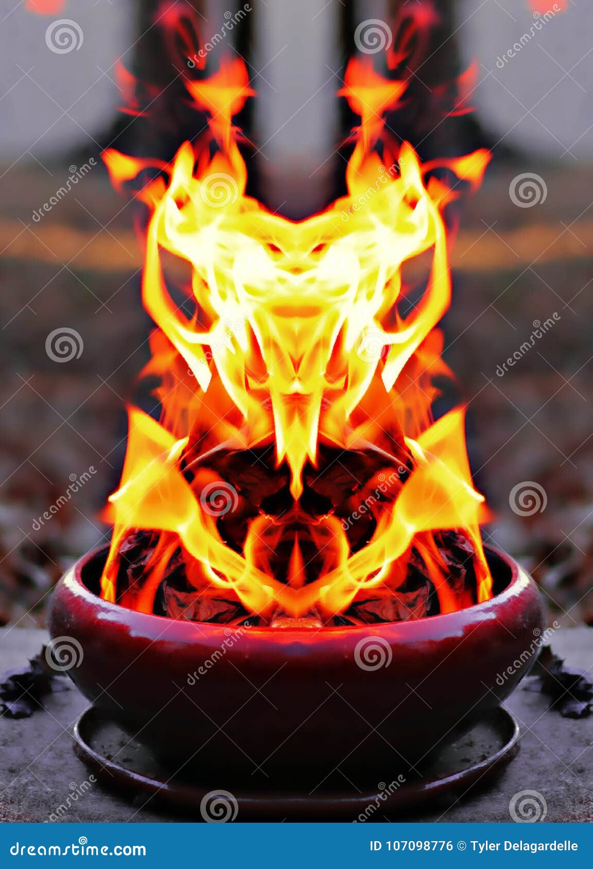 Owl of fire stock photo. Image of pictorial, scorching - 107098776