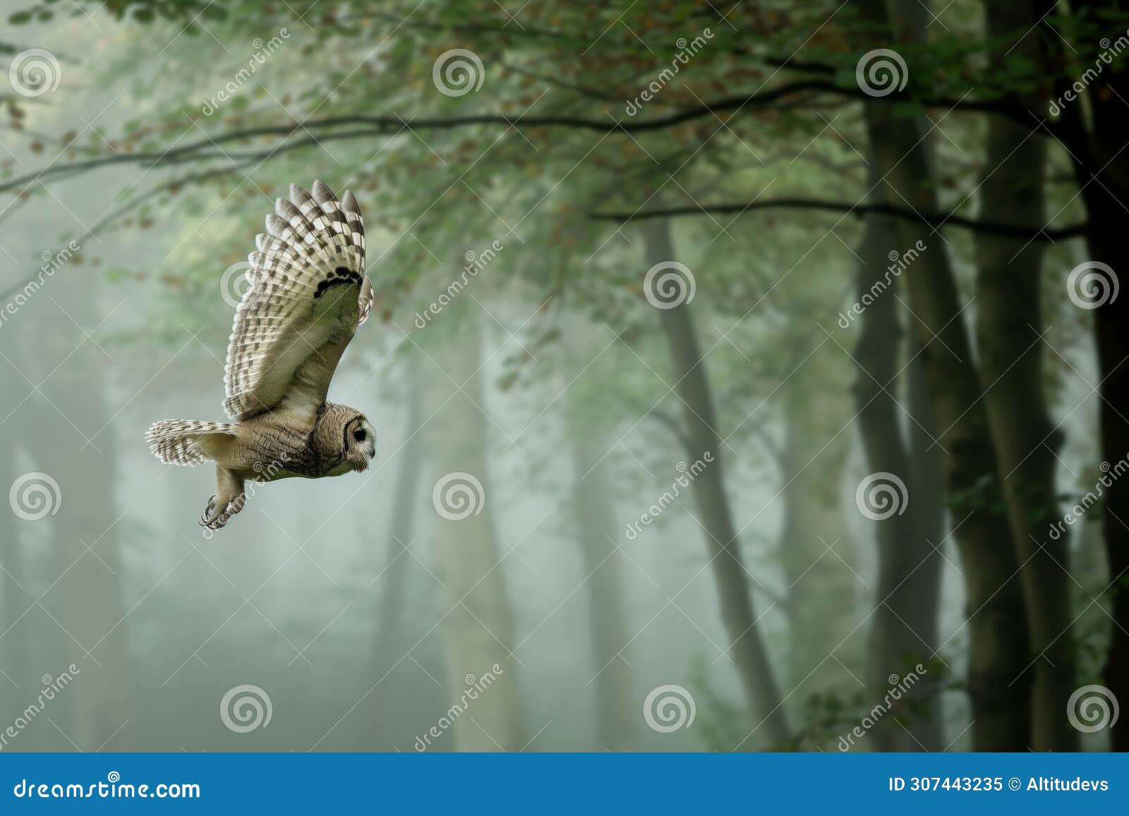 Owl Flying through Misty Forest, Trees Enveloping Background Stock ...