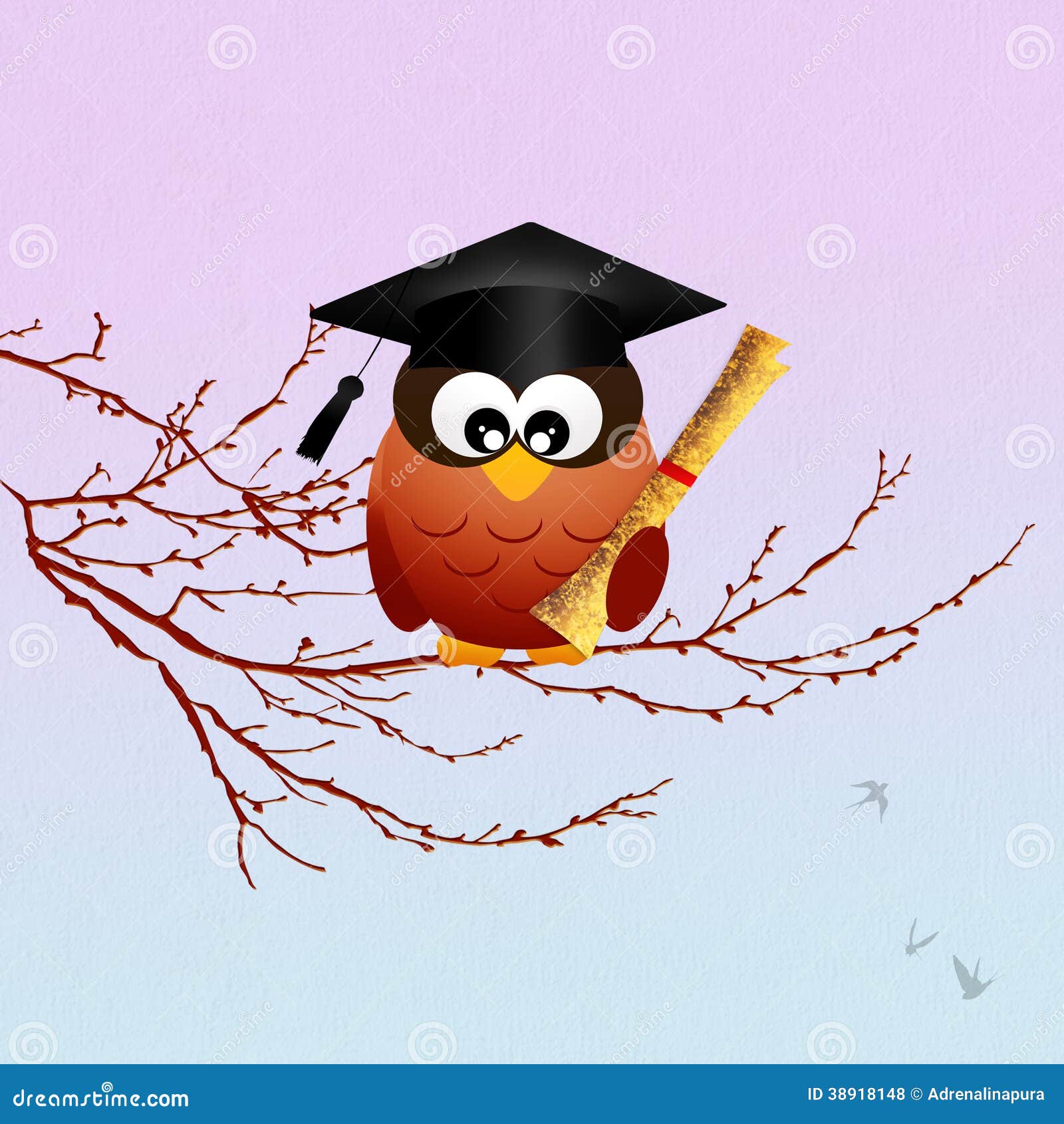 Owl graduate stock illustration. Image of congratulations - 38918148