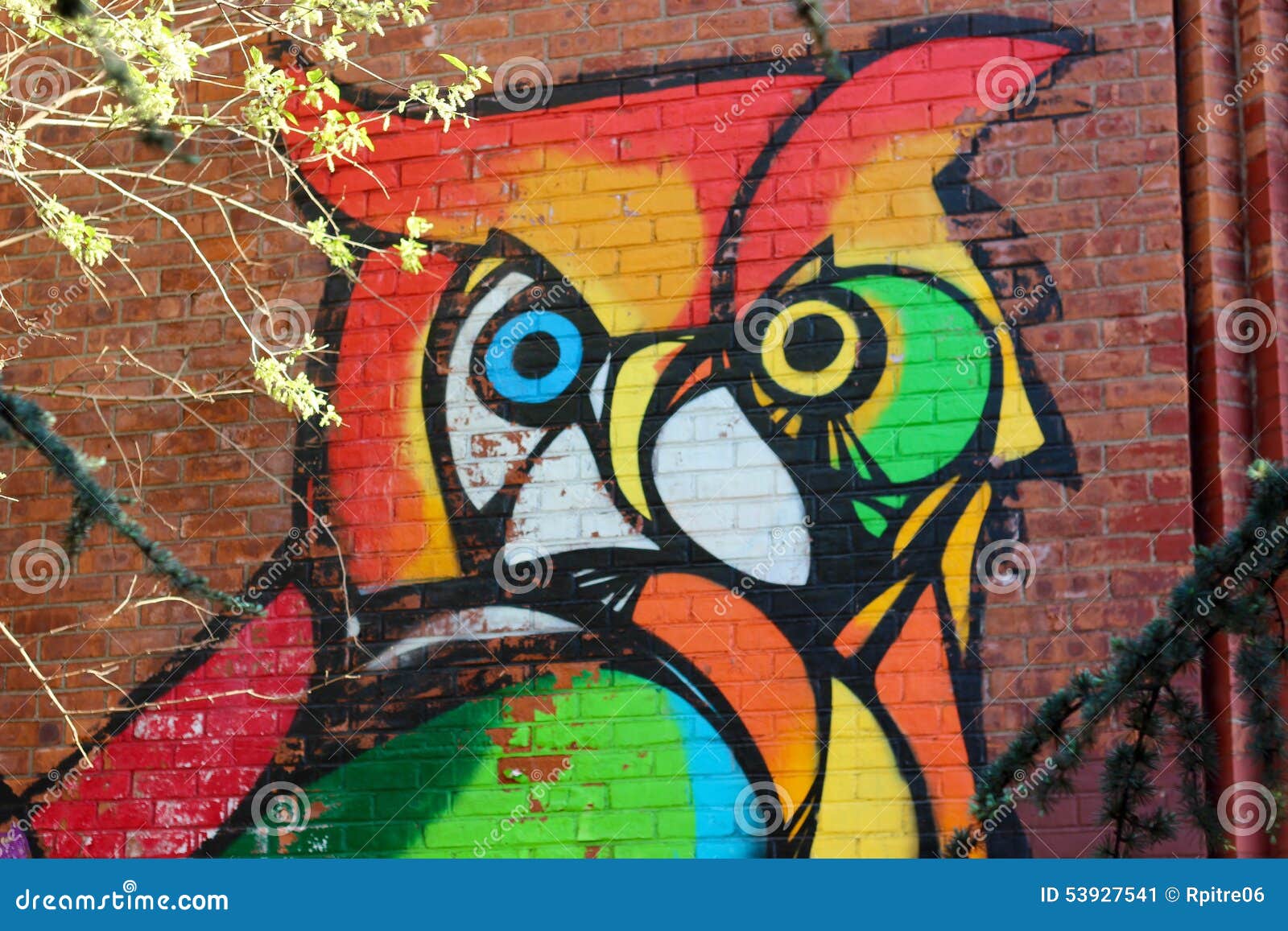 Owl Grafitti editorial photo. Image of grafitti, brick - 53927541
