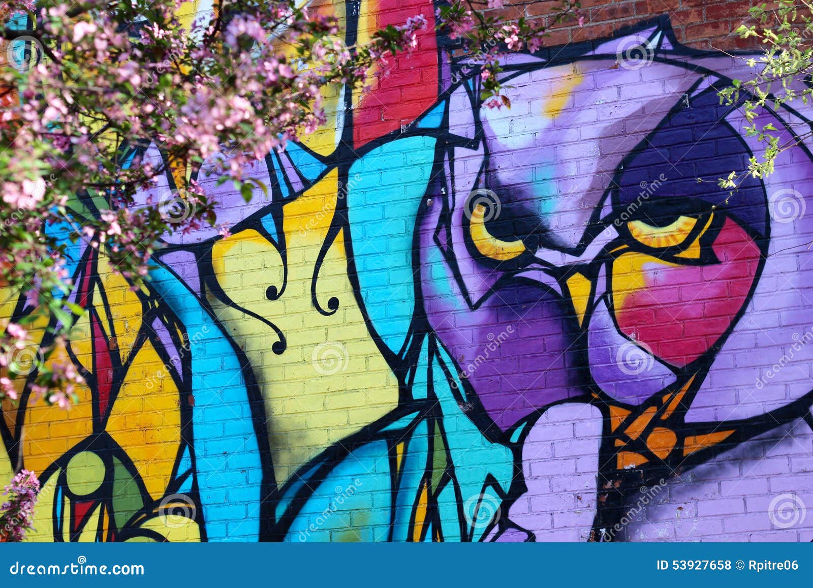 Owl Grafitti editorial stock photo. Image of park, street - 53927658