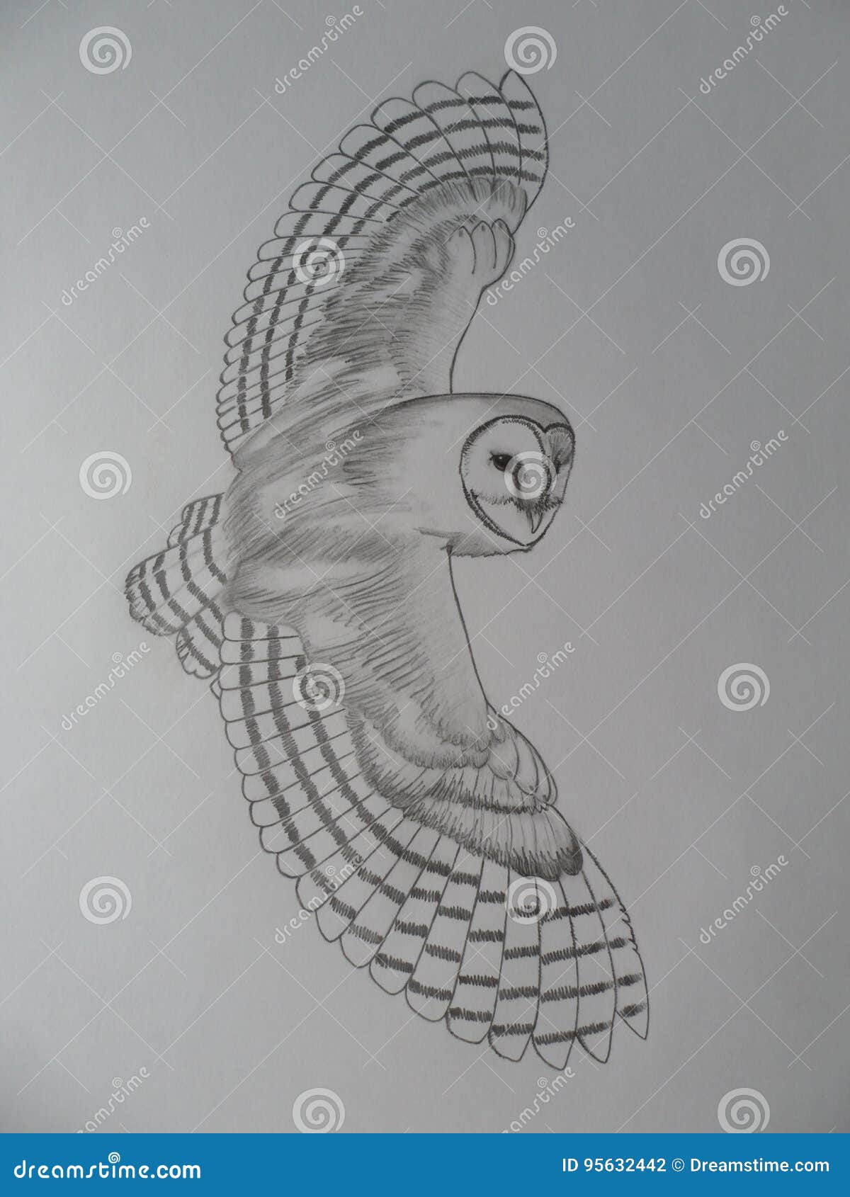Owl stock photo. Image of predator, hand, birds, pencil - 95632442