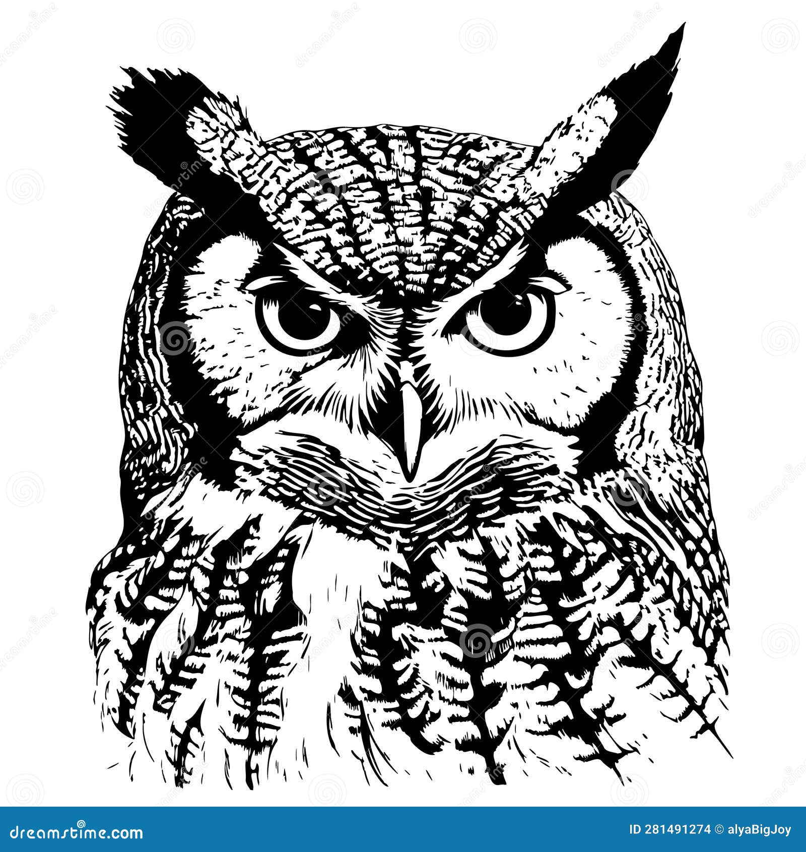 Owl Head Sketch Hand Drawn Vector Illustration Birds Stock Illustration ...