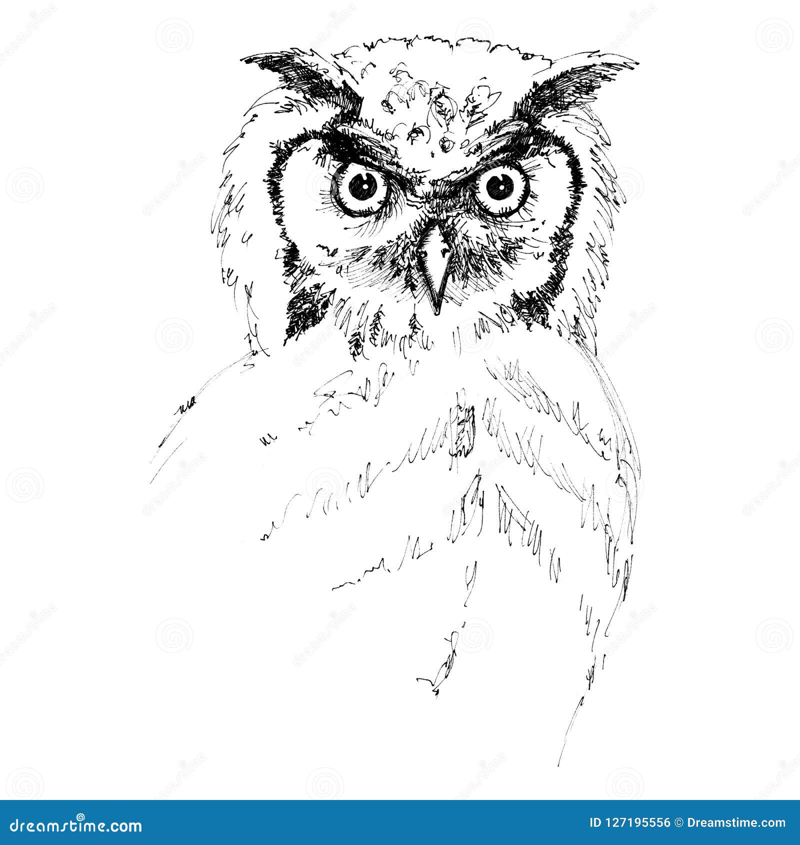 Graphic Sketch Bird Owl Black Ink Stock Illustrations – 725 Graphic ...