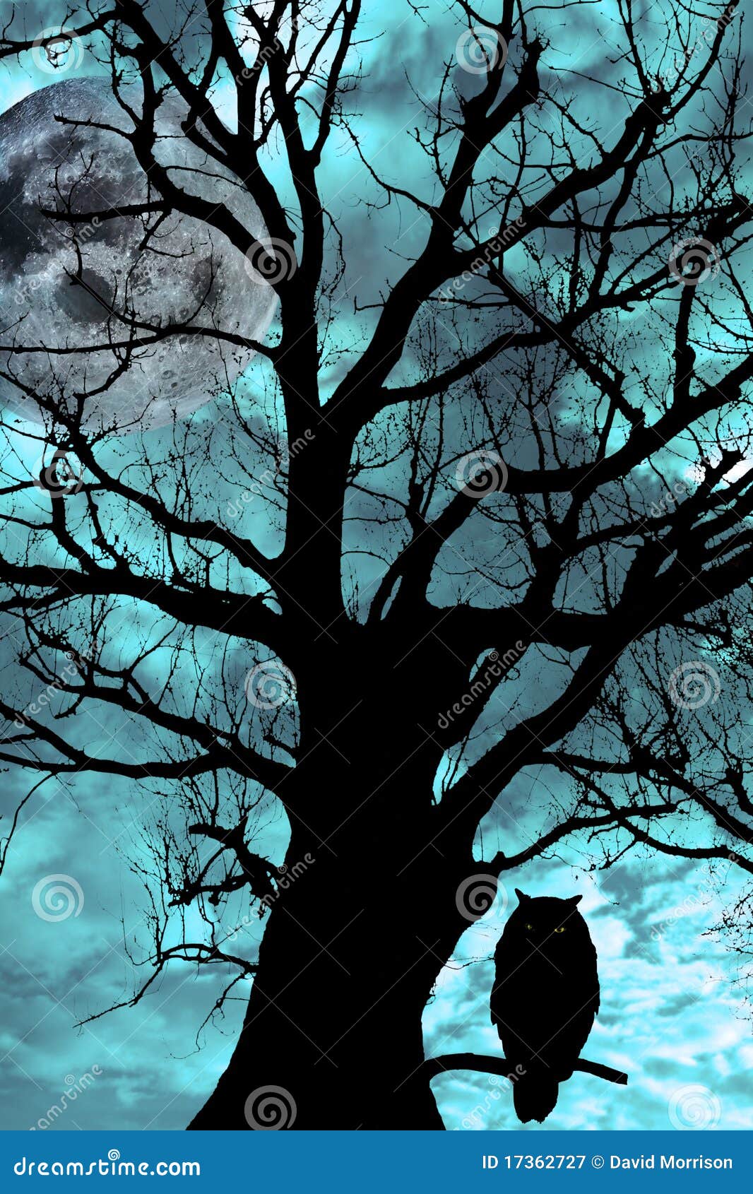 Ancient Tree With Glowing Fungal Features In Dark Woods Royalty-Free ...