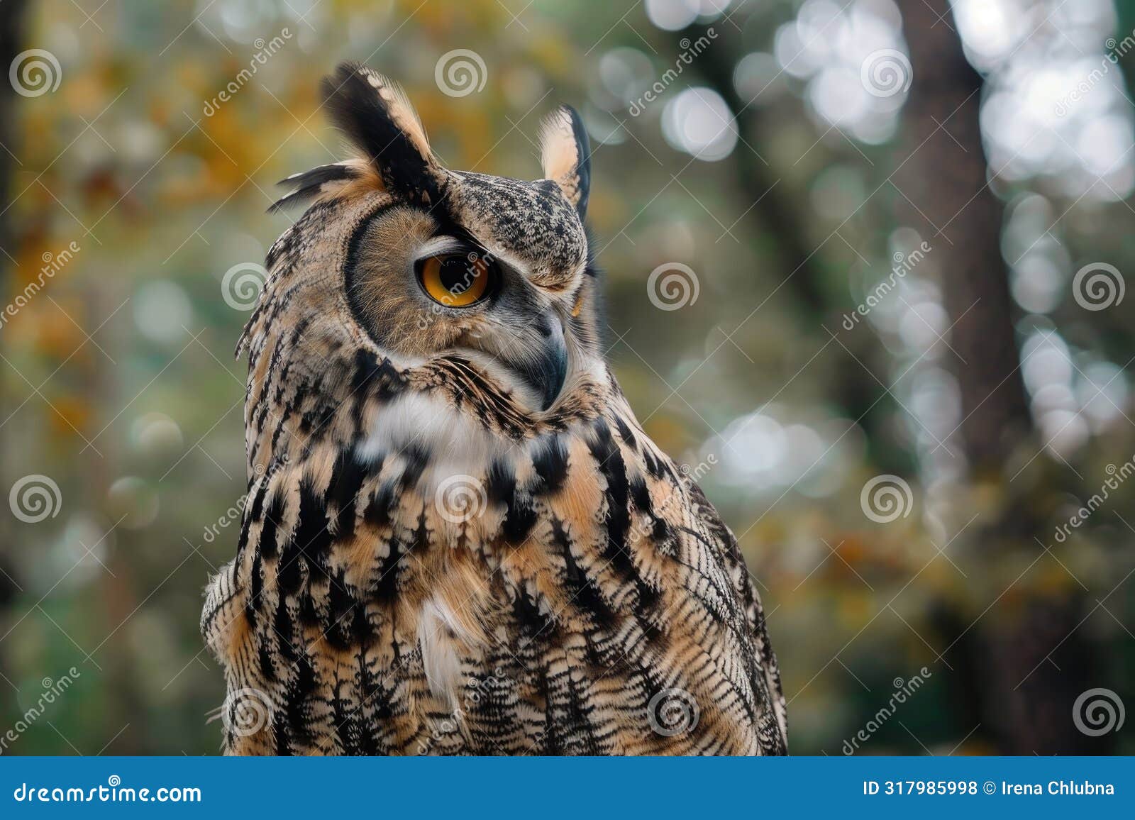 Owl portrait, side view stock illustration. Illustration of body ...