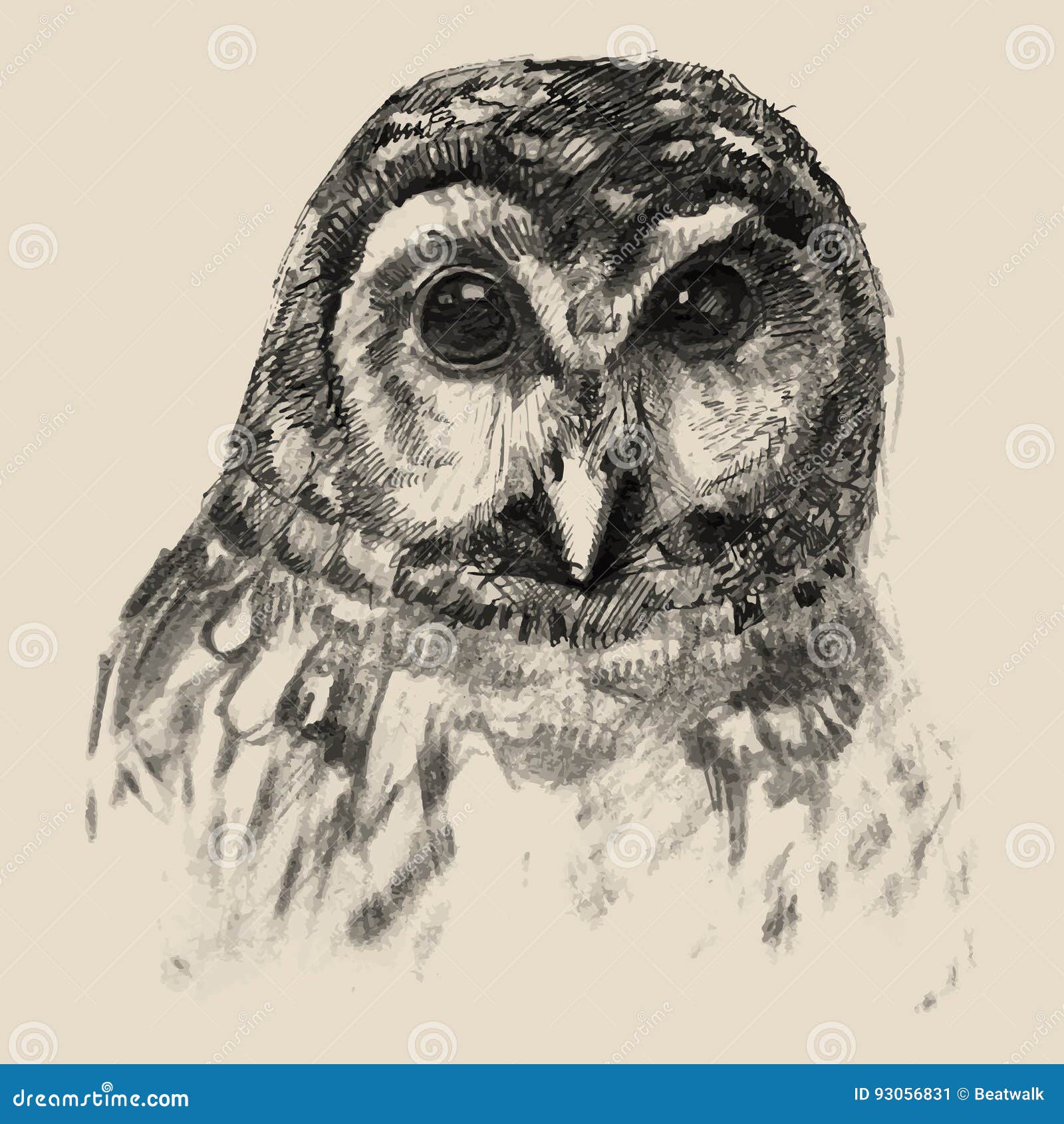 Owl sketch drawn hands stock vector. Illustration of design - 93056831