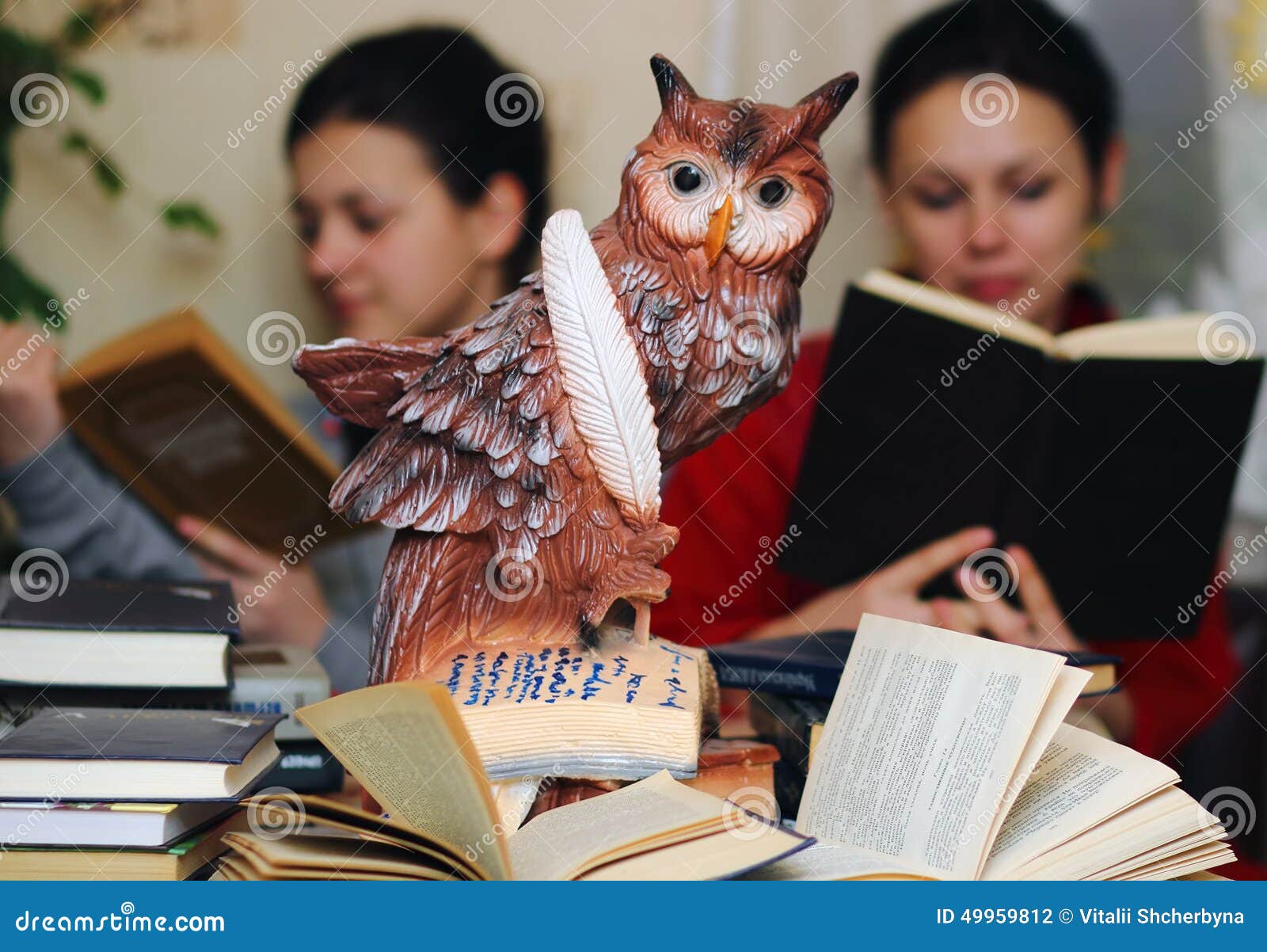 Owl - a Symbol of Knowledge. Stock Photo - Image of table, open: 49959812