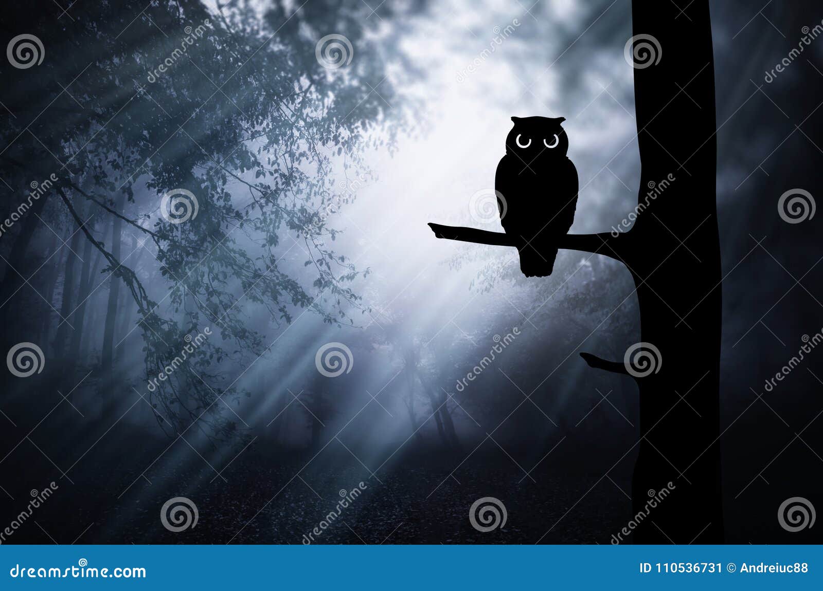 Owl on Tree Branch in Magical Forest at Night Stock Illustration ...