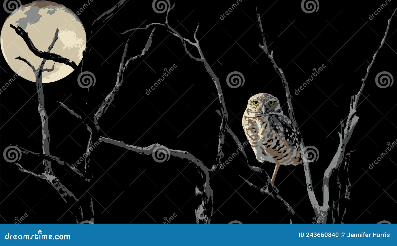 An Owl in a Tree Under the Moonlight. Stock Photo - Illustration of ...