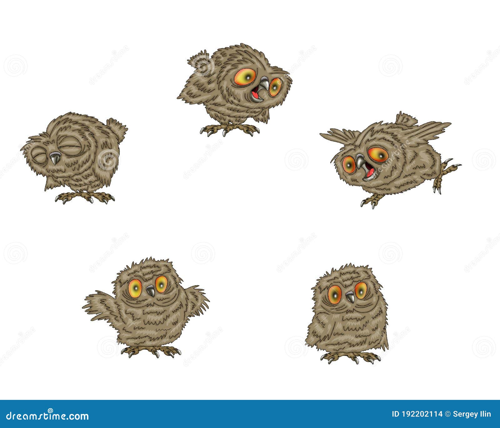 Set Of Owls In Different Positions. Vector Monochrome Illustrations ...