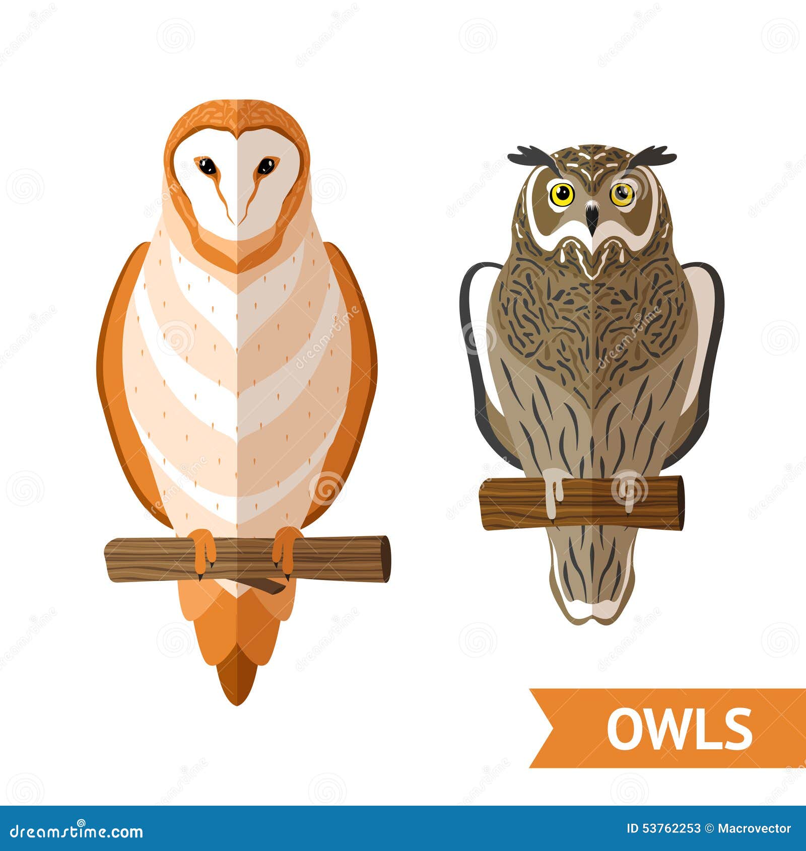 Owls Front Set stock vector. Illustration of icons, isolated - 53762253