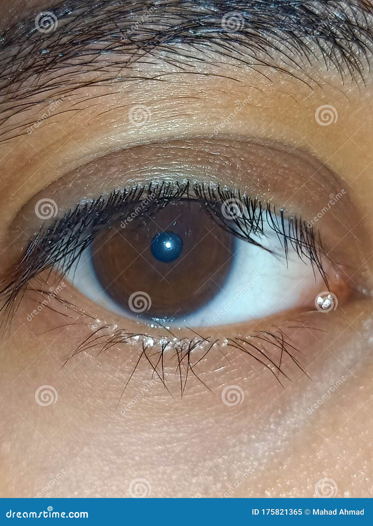 Own Eye Focus Micro Camera Beauty Stock Image - Image of micro, focus ...