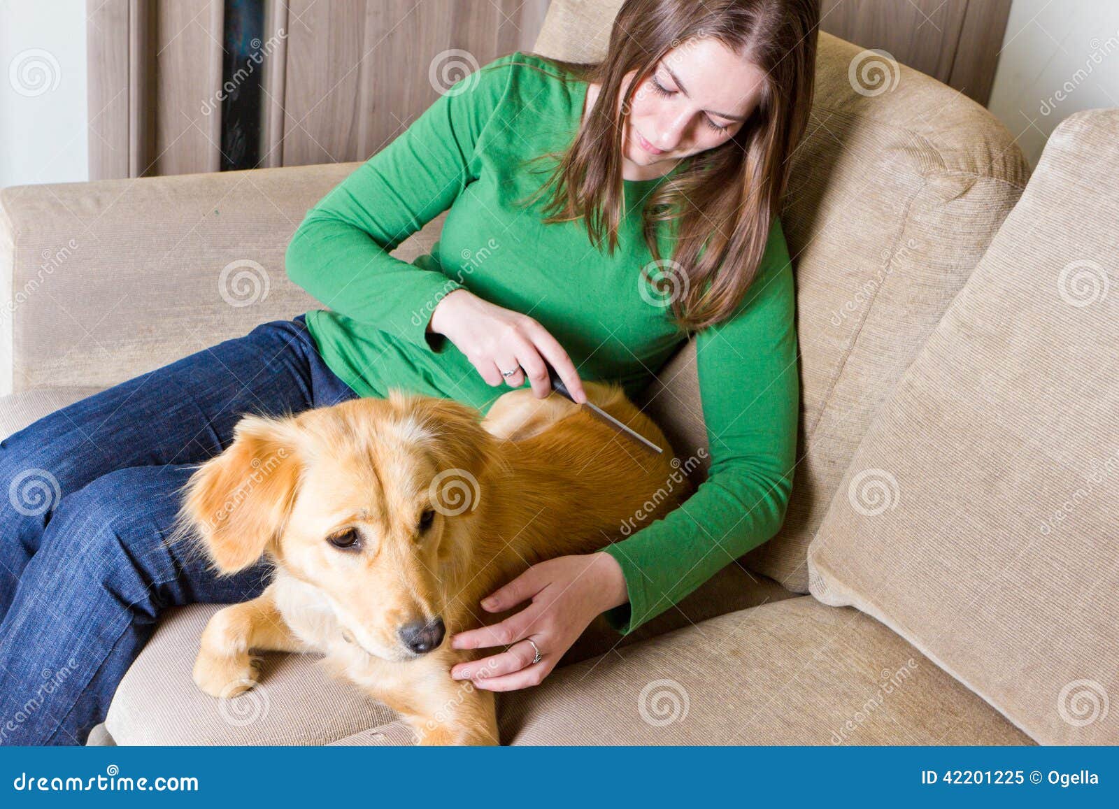 Owner combing her dog stock image. Image of collar, friend - 42201225