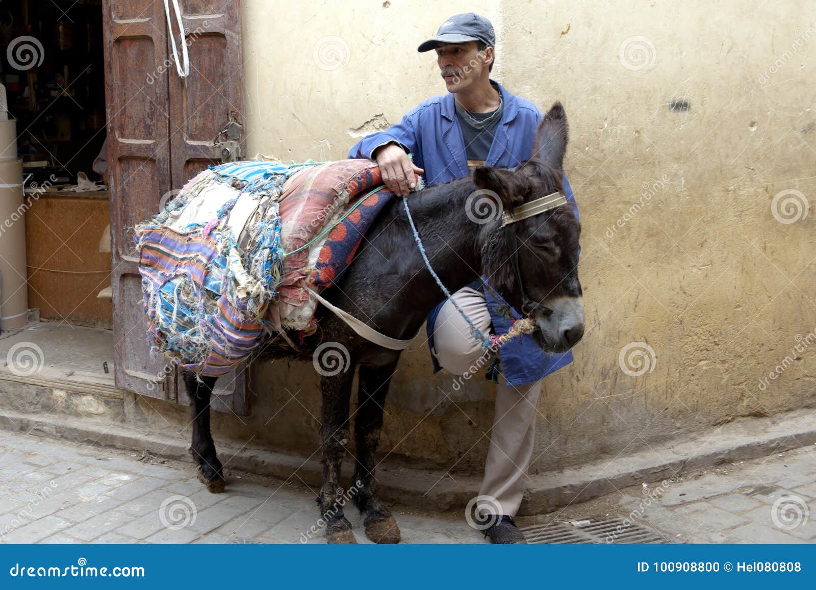 Owner and Donkey Waiting in Medina of Fez Editorial Image - Image of ...