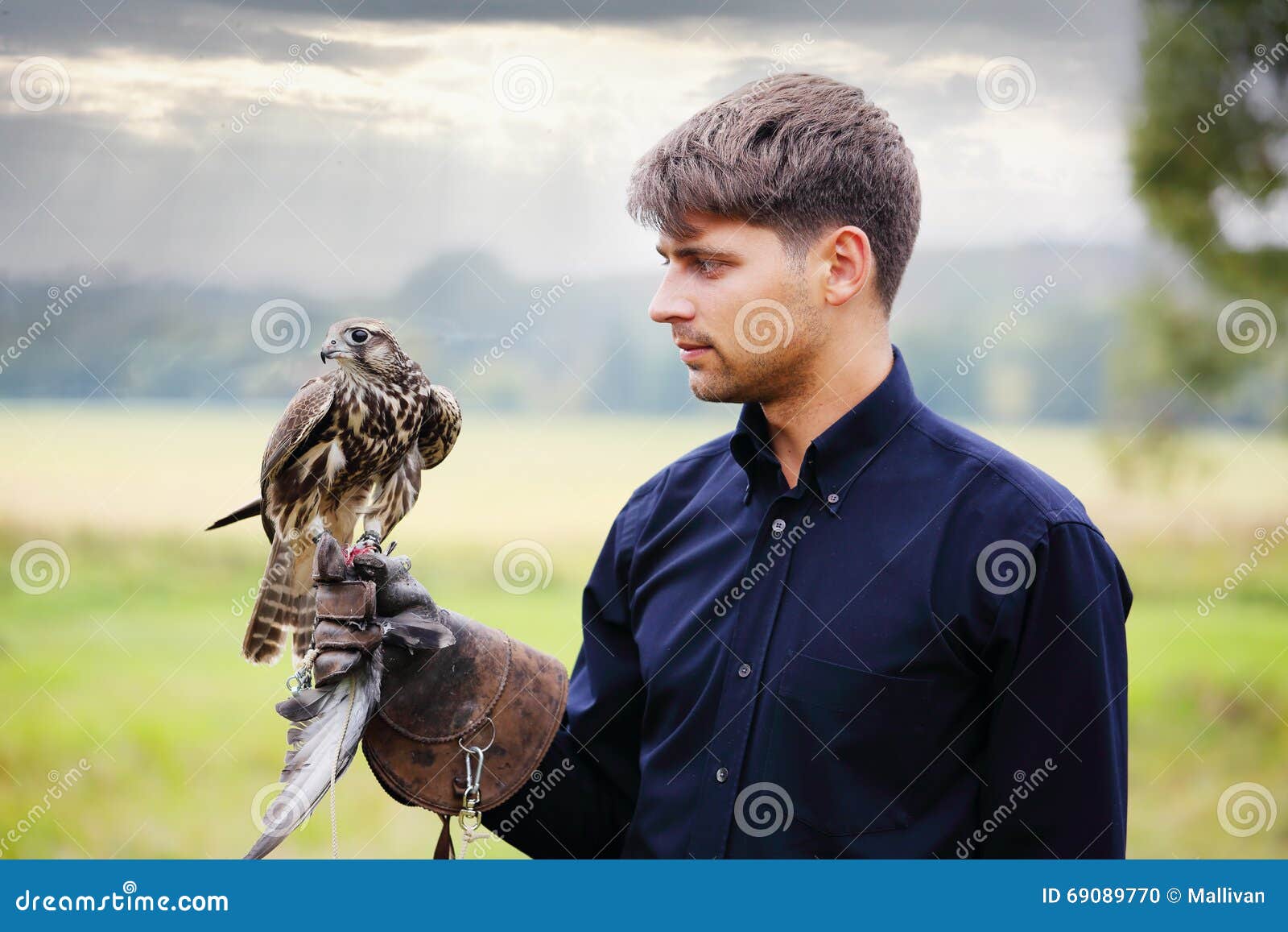 The owner feeds falcon stock photo. Image of human, black - 69089770