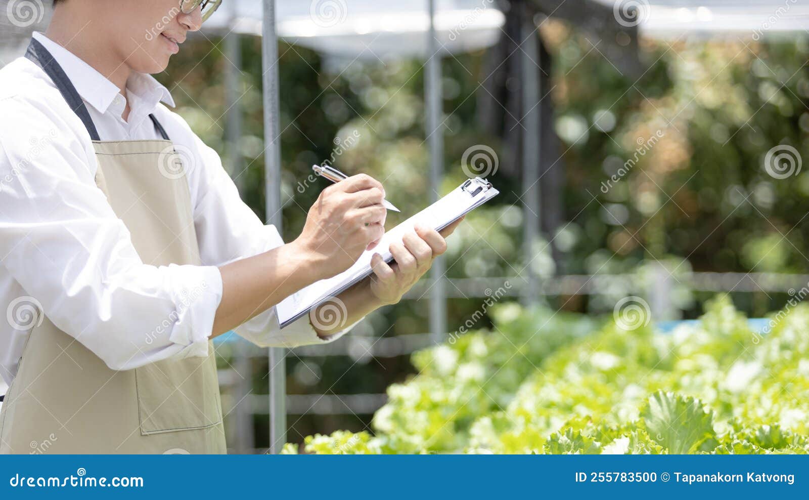 Owner of the Hydroponics Vegetable Garden is Checking the Quality of ...