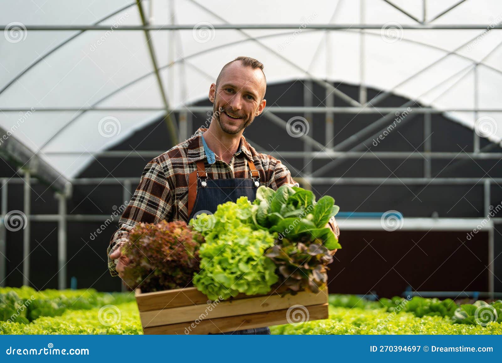 Owner of the Hydroponics Vegetable Garden is Checking the Quality of ...
