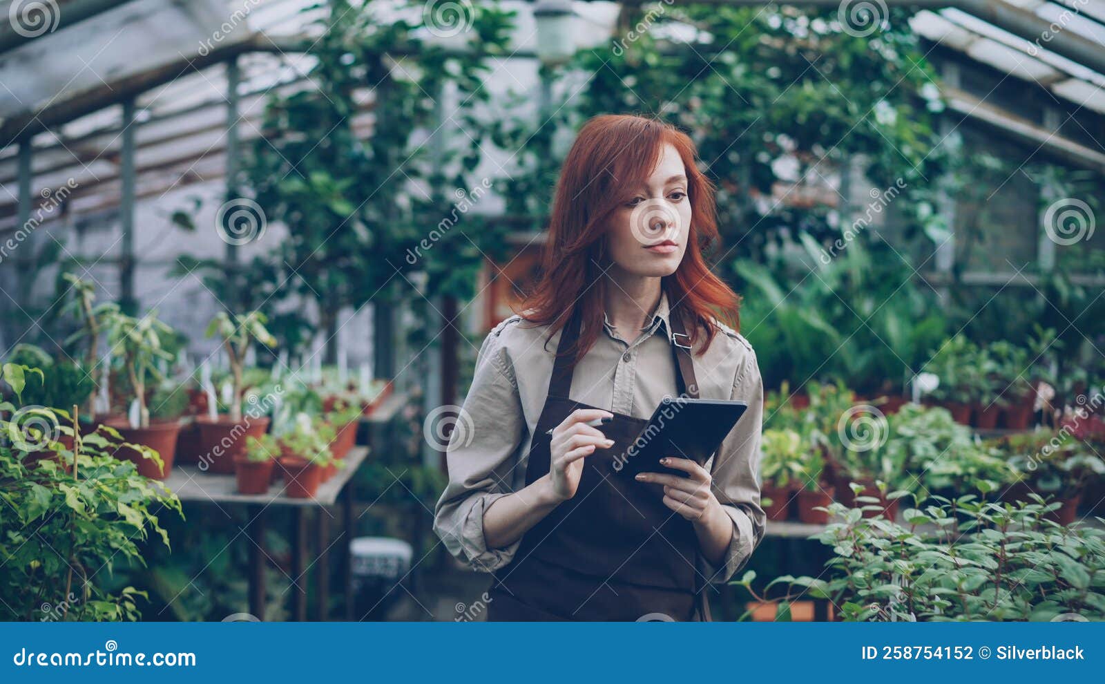 Owner of Spacious Greenhouse is Doing Inventory Checking and Counting ...