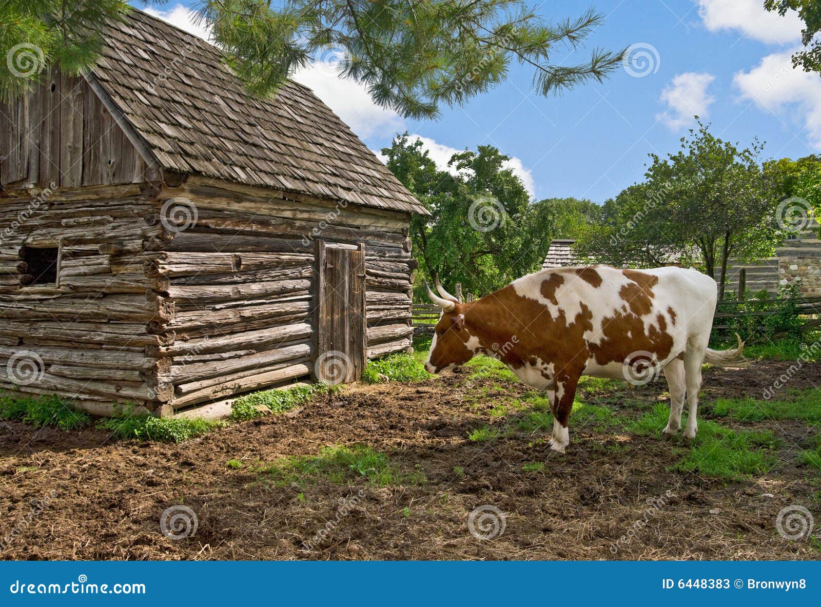 Ox stock image. Image of mammal, bovine, worker, agriculture - 6448383