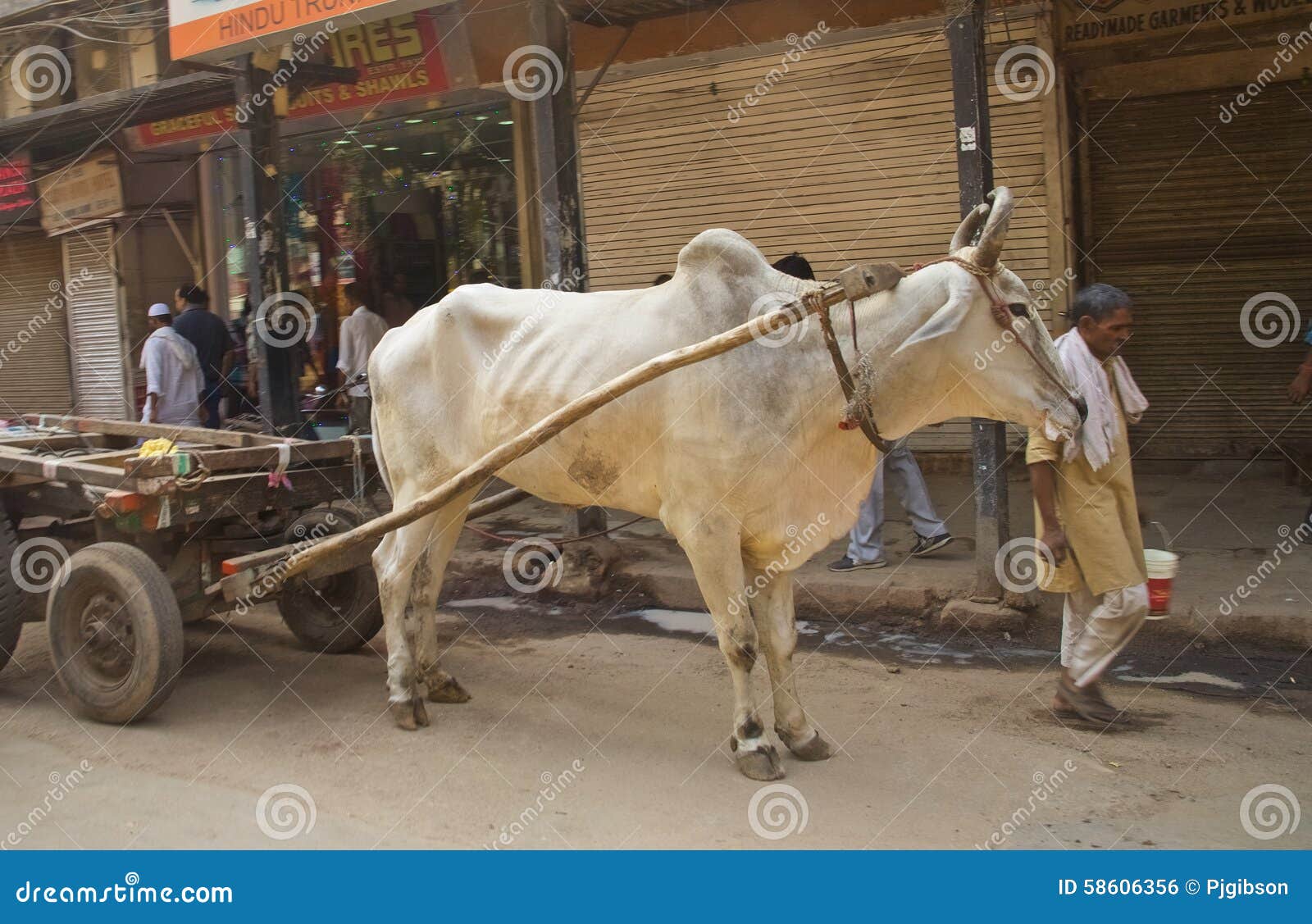 Ox pulling cart editorial photo. Image of asia, delhi - 58606356