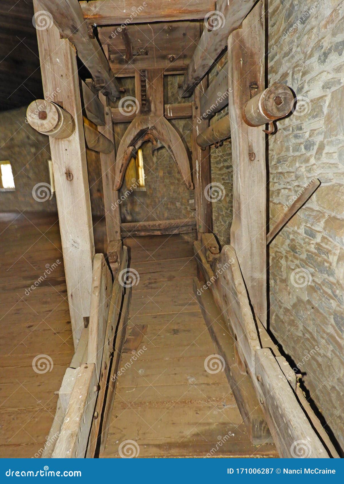 Shaker Ox Shoeing Blacksmith Sling Stock Image - Image of bovine ...