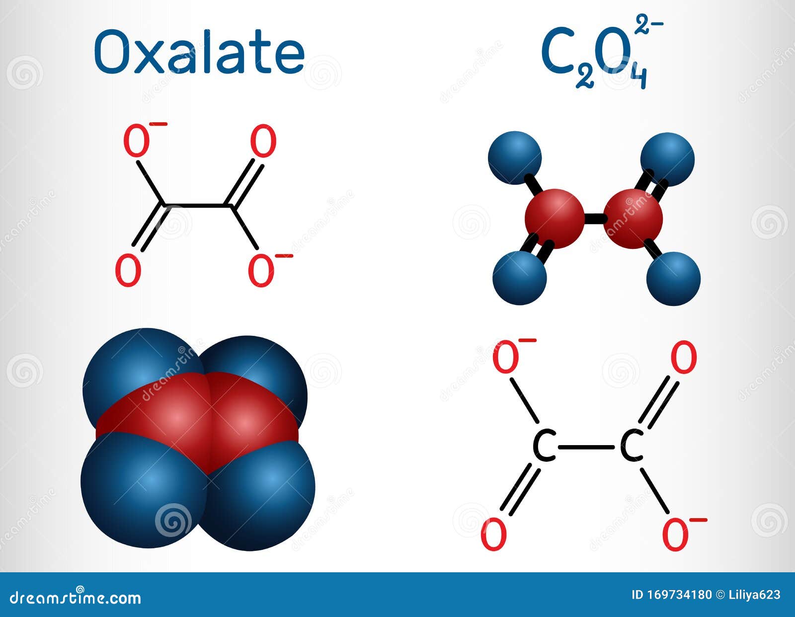 Oxalate Anion, Ethanedioate Molecule. Structural Chemical Formula and ...