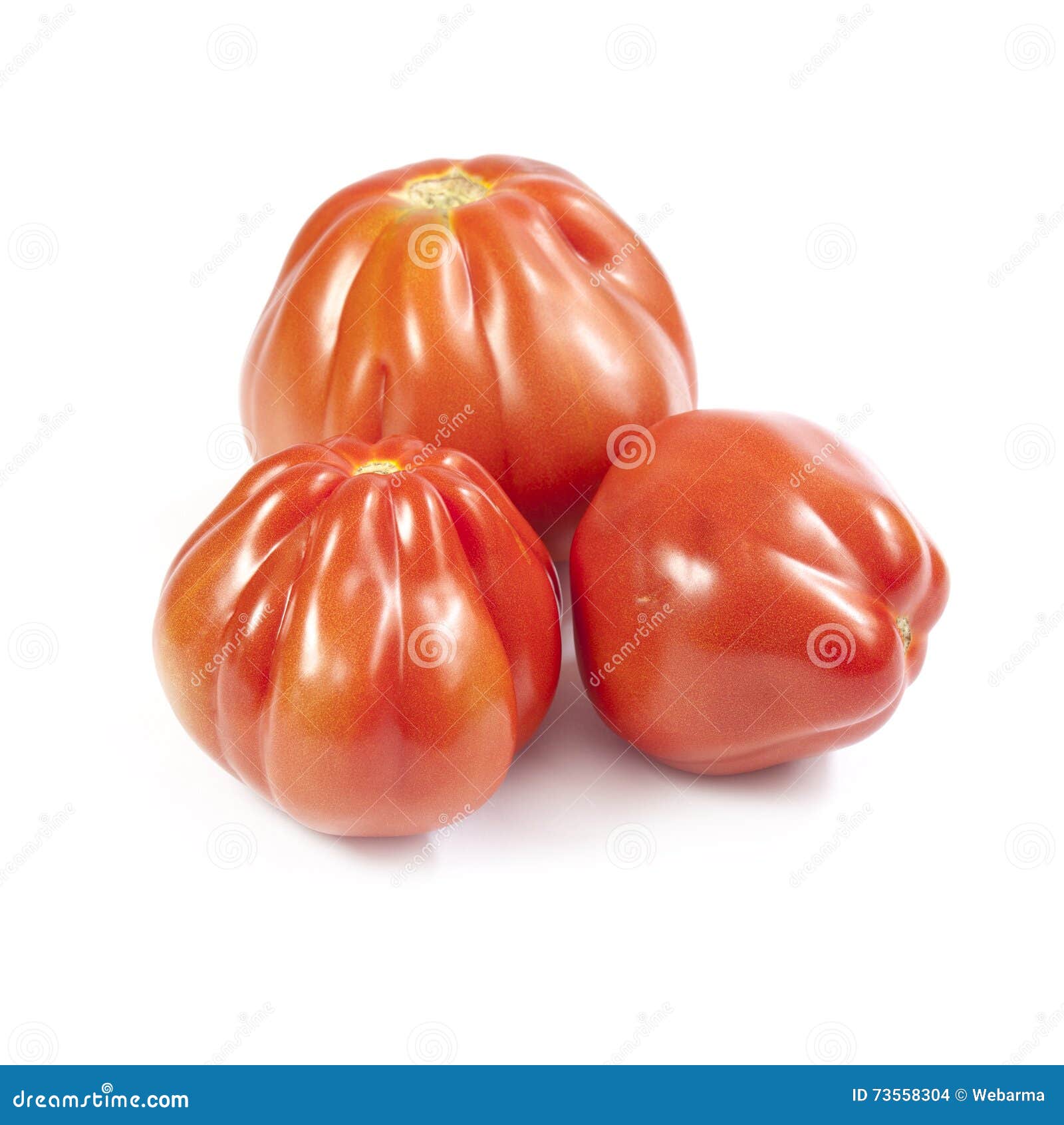 Oxheart tomatoes isolated stock photo. Image of vegetables - 73558304