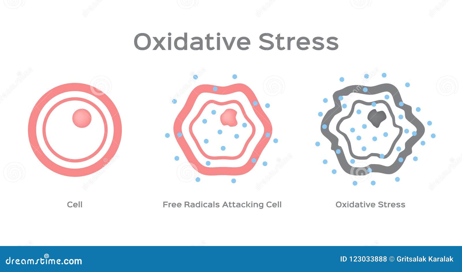 Oxidative Stress Cell / Free Radical Stock Vector - Illustration of ... Oxidative Stress Cell / Free Radical Stock Vector - Illustration of ...