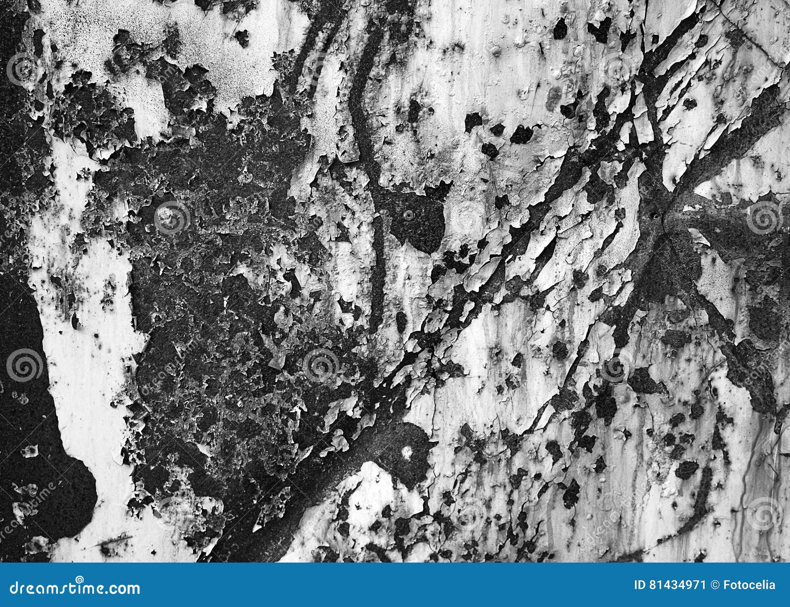 Oxide door stock image. Image of grunge, architecture - 81434971