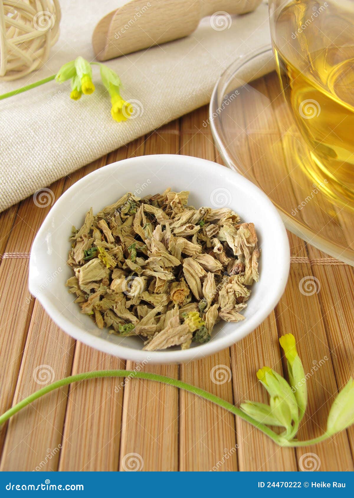 Oxlip flowers tea stock photo. Image of nature, drugs - 24470222