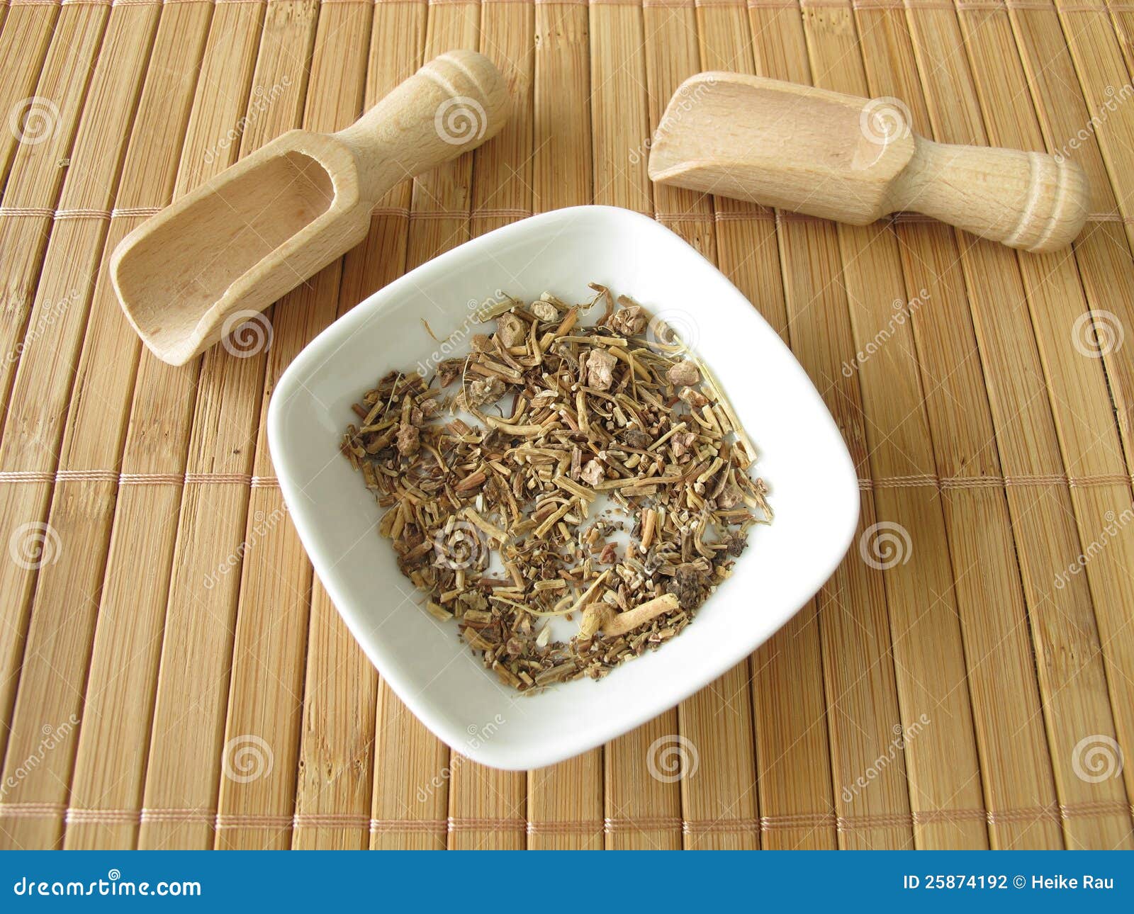 Oxlip root, Primulae radix stock photo. Image of herbal - 25874192