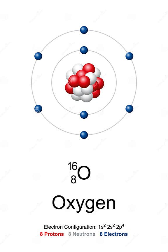 Oxygen, Atom Model of Oxygen-16 with 8 Protons, 8 Neutrons and 8 ...