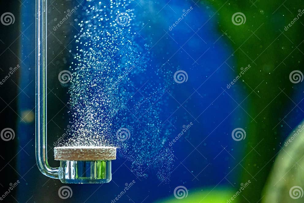 Oxygen Diffuser Under Water Pumping a Lot of Small Bubbles. Oxygen ...