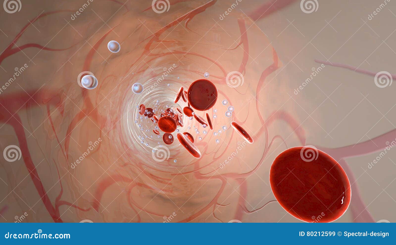 Oxygen Molecules and Erythrocytes Floating in the Blood Stream Stock ...