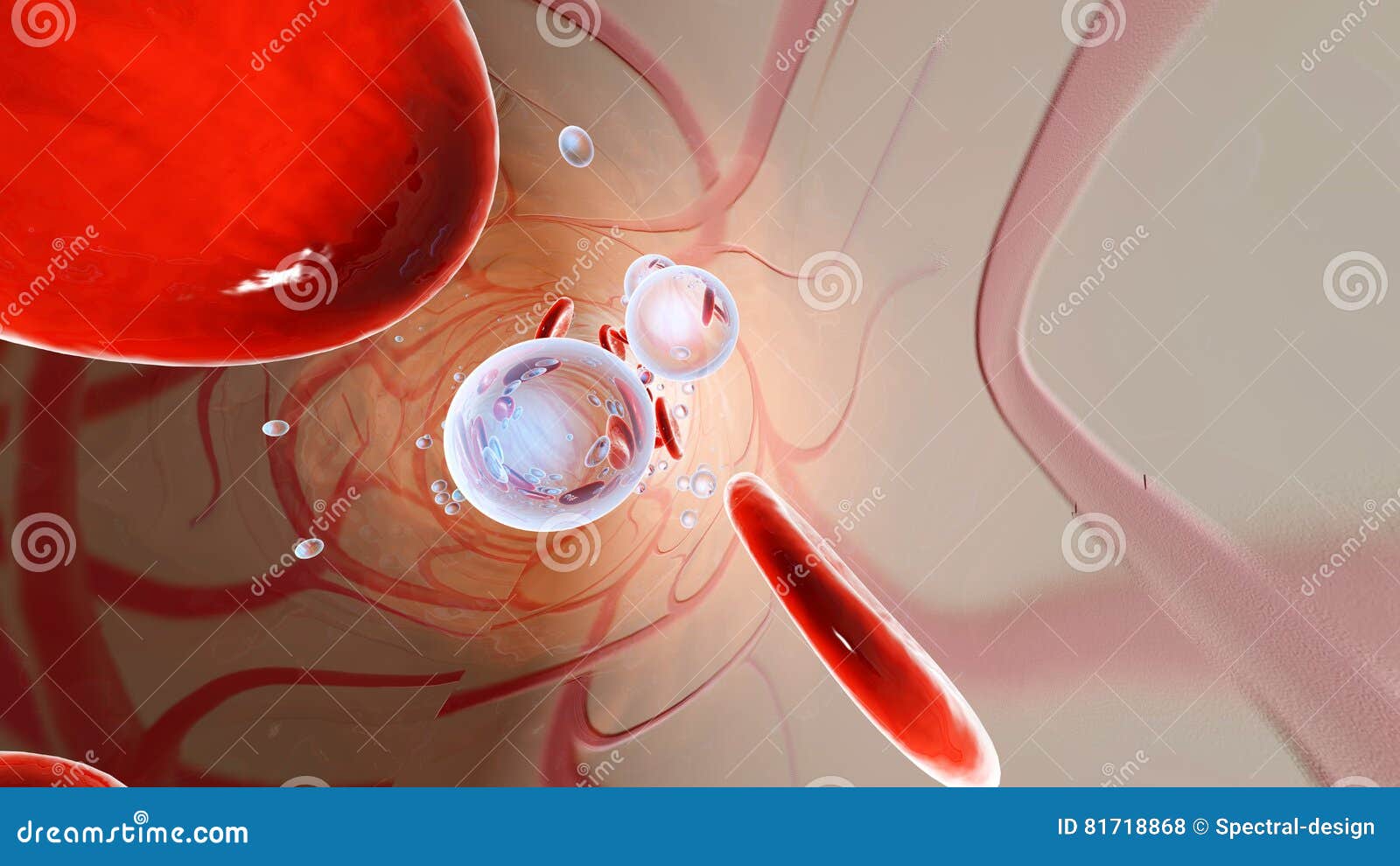 Oxygen Molecules and Erythrocytes Floating in the Blood Stream Stock ...