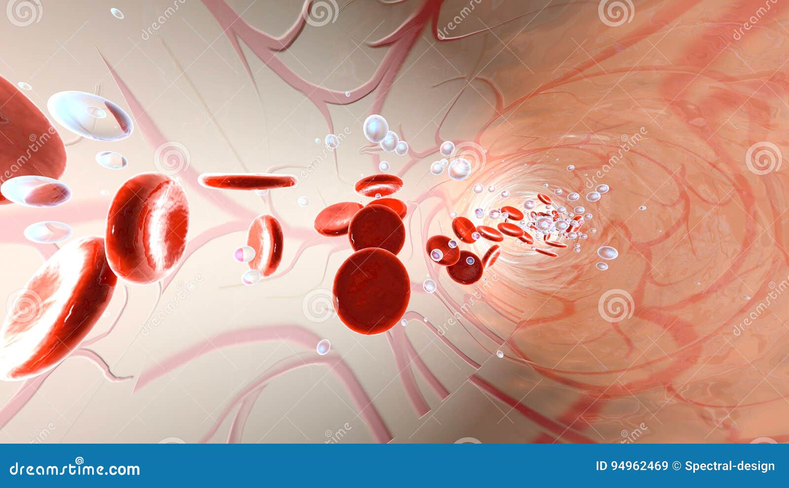 Oxygen Molecules and Erythrocytes Floating in the Blood Stream Stock ...