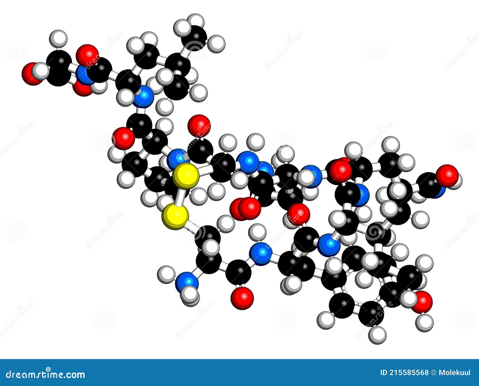 Oxytocin Hormone Molecule. 3D Rendering. Atoms are Represented As ...