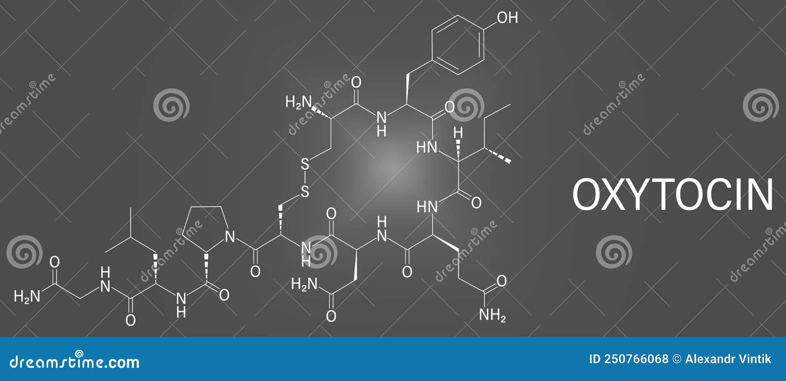 Oxytocin Hormone Molecule. Skeletal Formula Stock Vector - Illustration ...